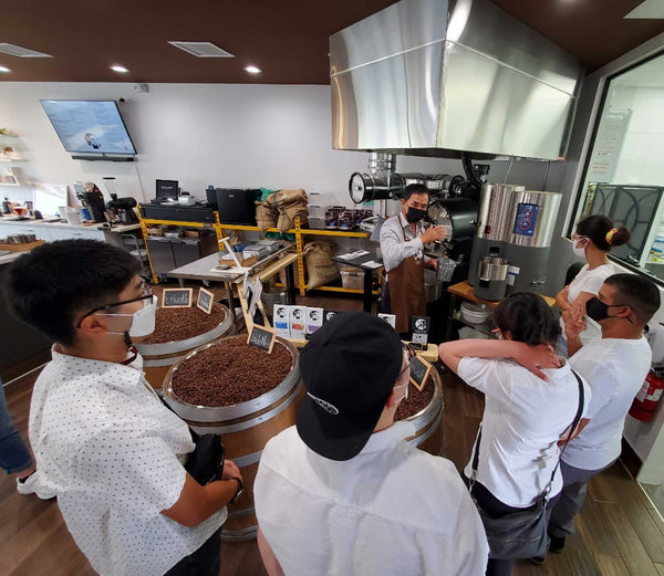 Freshly Roasted To Your Door - Coffee Bean Online – Seesaw Coffee