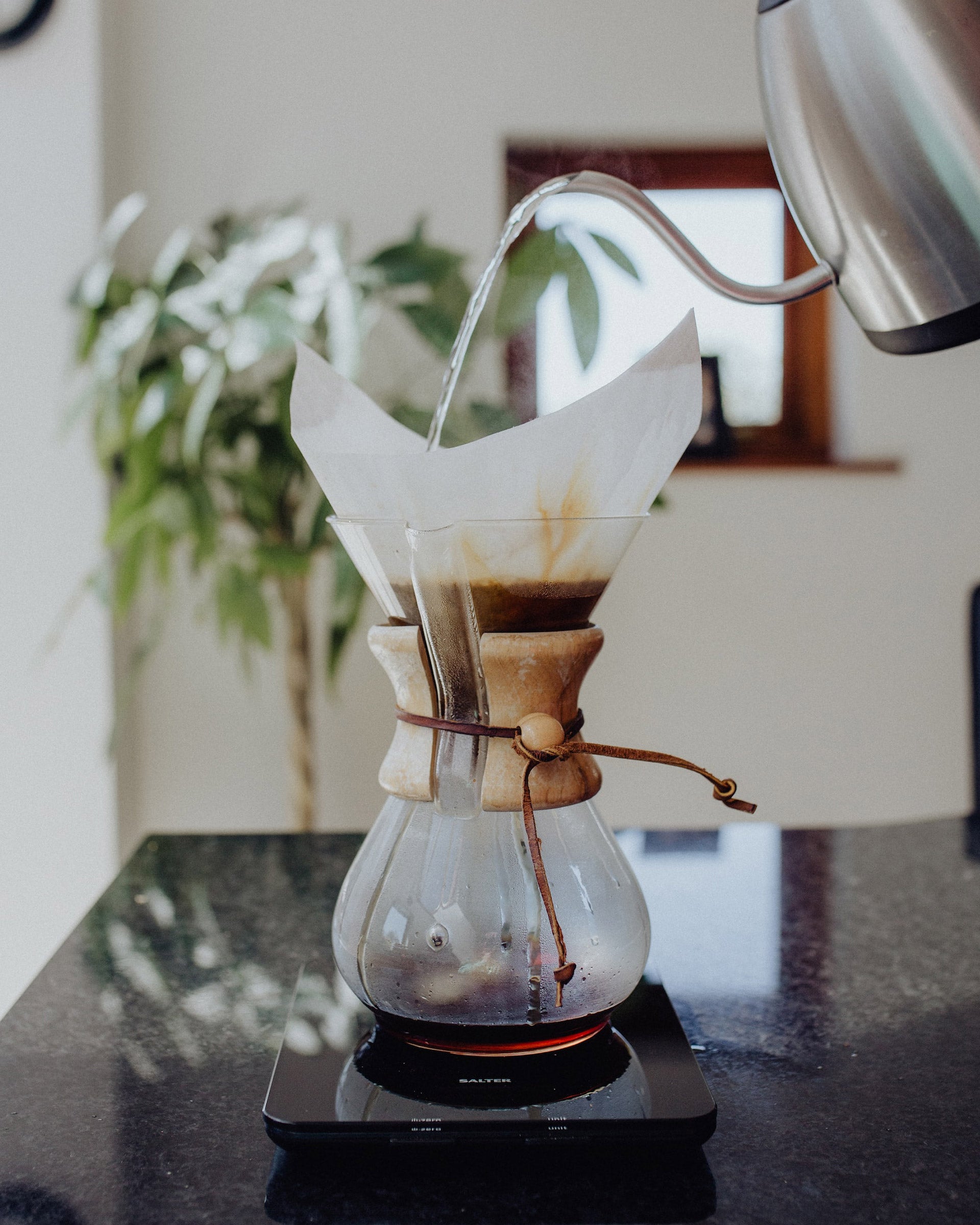 Freshly Roasted To Your Door - Coffee Bean Online – Seesaw Coffee